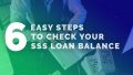 6 Easy Steps To Check Your SSS Loan Balance : sssonlineinquiry.nbiclearance.org