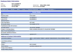 How To Get Your SSS Static Information? : sssonlineinquiry.nbiclearance.org