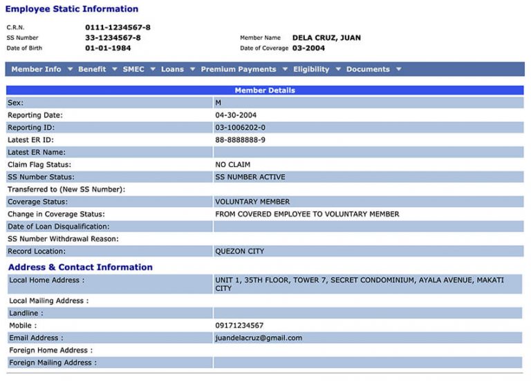 How To Get Your SSS Static Information? : sssonlineinquiry.nbiclearance.org